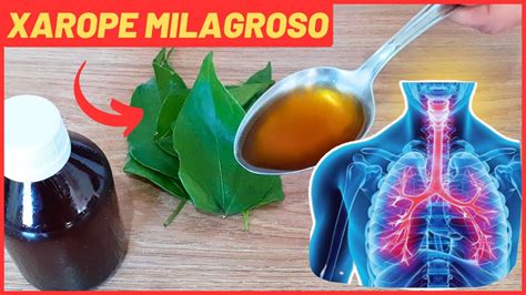 XAROPE NATURAL PARA TOSSE SECA E CATARRO YouTube