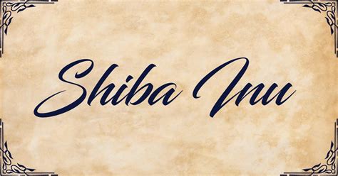 Shiba Inu Información Completa sobre Características Cuidado e Historia