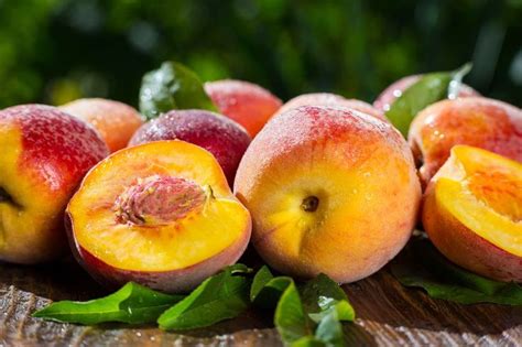 What S The Difference Between Peaches Nectarines And Apricots