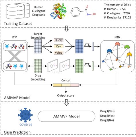 ijms free full text ammvf dti a novel model predicting drug target interactions based on