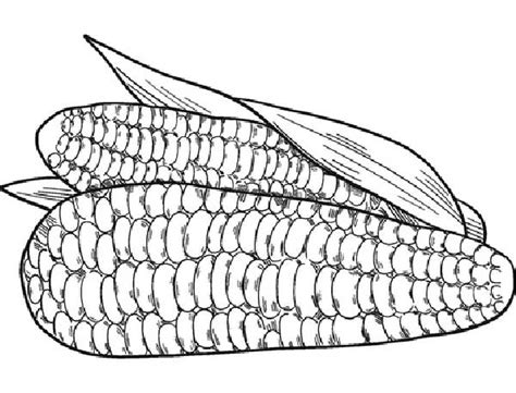 45 Desenhos De Milho Para Imprimir E Colorir Pintar