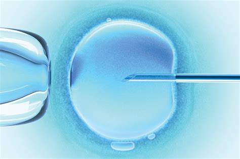 Insemina O Artificial Ou Fertiliza O In Vitro Veja A Mais Indicada