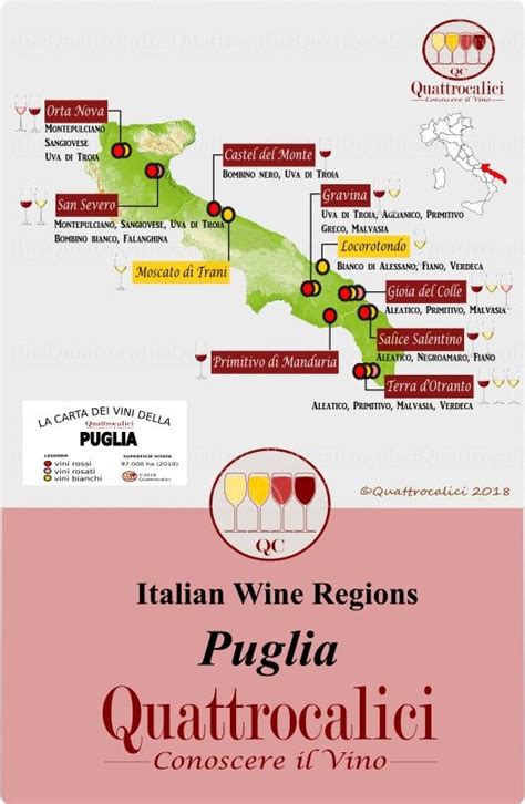 Il Vino In Puglia Quattrocalici Le Regioni Del Vino Bere Vino