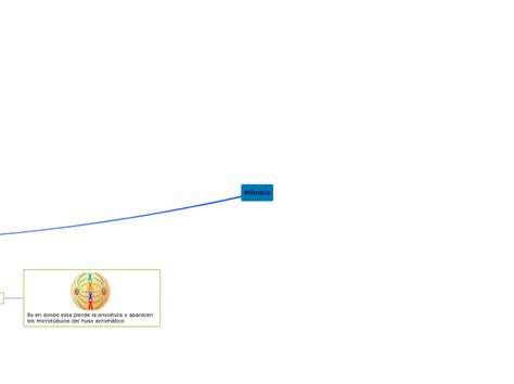 Mitosis Mind Map