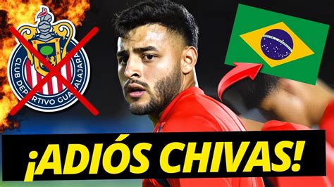LO PEOR ESTÁ CONFIRMADO LO PEOR ESTÁ CONFIRMADO ALEXIS VEGA DEJA