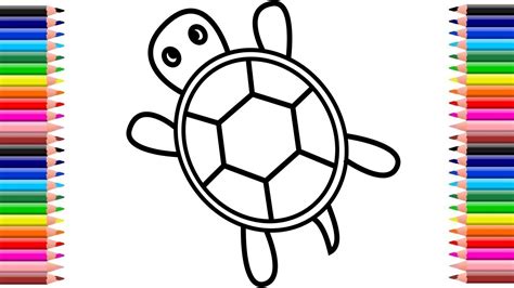 Como dibujar una tortuga paso a paso Como dibujar fácil