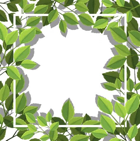 Modelo De Borda De Folha Verde Vetor Premium