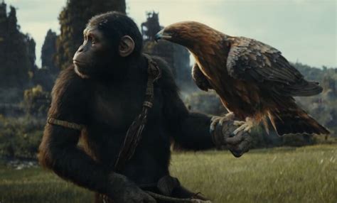 El Planeta De Los Simios Nuevo Reino revela su tráiler