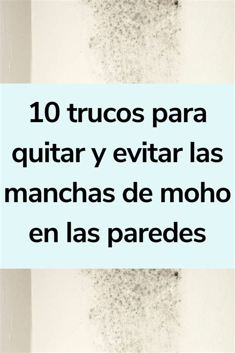 10 Trucos Para Quitar Y Evitar Las Manchas De Moho En Las Paredes En