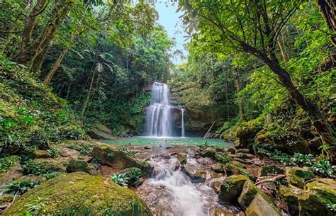Departamento Del Caquet Colombia Gu A Para Turistas