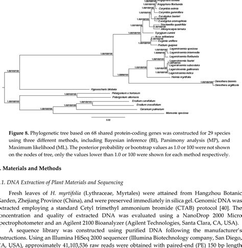 the comparison of simple sequence repeats ssrs distribution in 12 cp download scientific