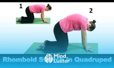 Learn Rhomboid Stretch In Quadruped Ask Doctor Jo Mind Luster