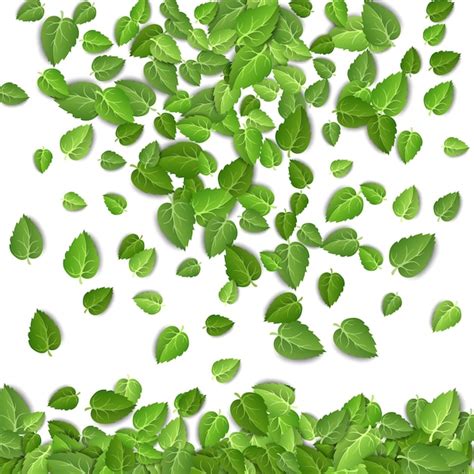 Feuilles Vertes Volantes Sur Fond Blanc Motif De Feuilles De Printemps
