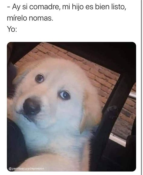 Imagenes De Memes Graciosos
