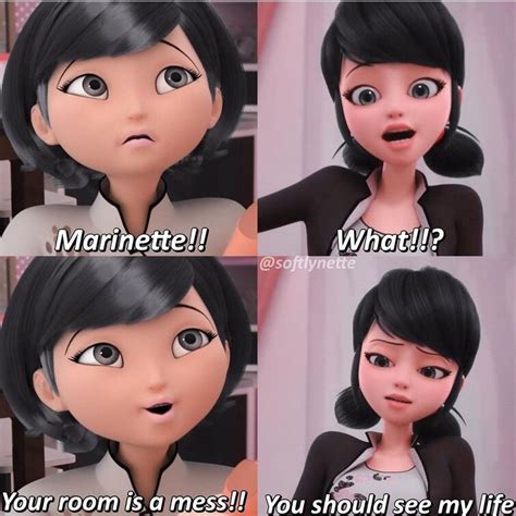 Hilarious BEST Miraculous Memes Fandom
