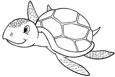 Desenhos Para Colorir De Tartaruga Dicas Pr Ticas