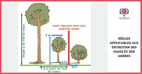Règles applicables à l entretien des haies et des arbres Commune de