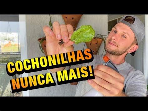 RECEITINHA Que Vai ACABAR As COCHONILHAS Nas Suas PLANTAS