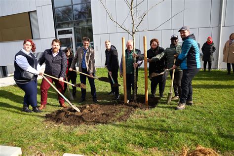 Baumpflanztag der Ökomodellregion Mühldorfer Land erster Baum der