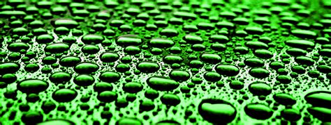 Green Background Free Stock Photo Public Domain Pictures