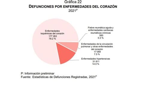 Las Gr Ficas Del Inegi Que Muestran Las Principales Causas De Muerte