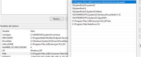 Salesforcedx Sfdx Is Not Recognized As An Internal Or External