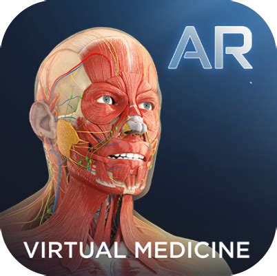 Human Anatomy Vr For Institutions On Meta Quest Quest Vr Off