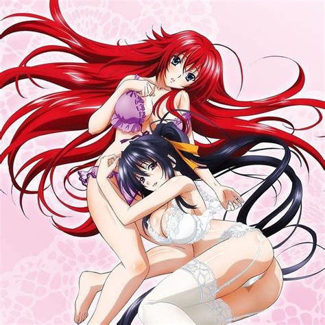 Females X Male Reader Vol Overprotective Rias X Shy Male