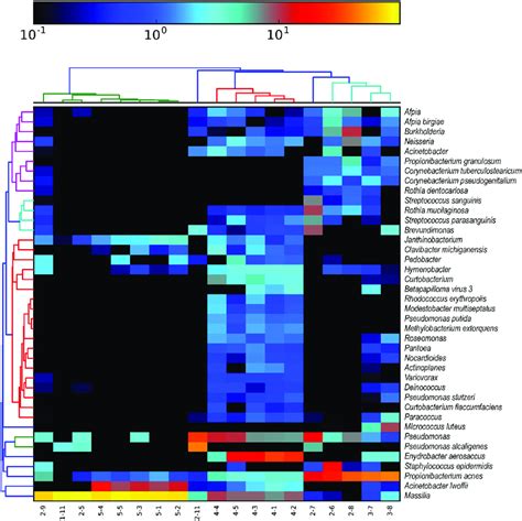 Heat Map And Hierarchical Clustering Of The Top Taxa Mapped By