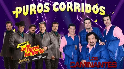 Los Tigres Del Norte Y Los Tucanes De Tijuana Mix Corridos YouTube