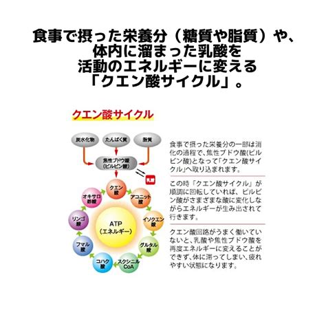 楽天市場今なら3袋おまけ付きメダリスト MEDALIST クエン酸チャージ 500ml用 30袋 顆粒15g スポーツ