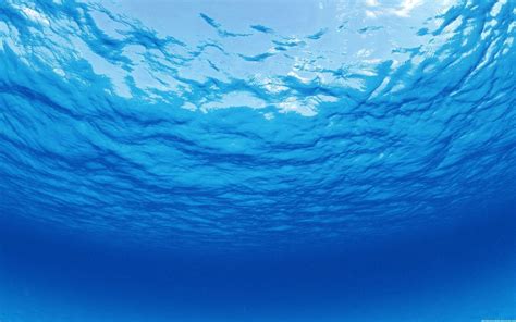 Deep Blue Sea Wallpapers Top Free Deep Blue Sea Backgrounds