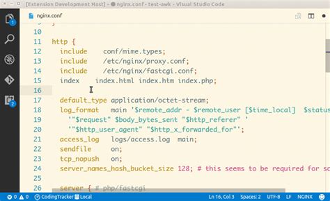 Npm Vscode Nginx Conf Hint Skypack