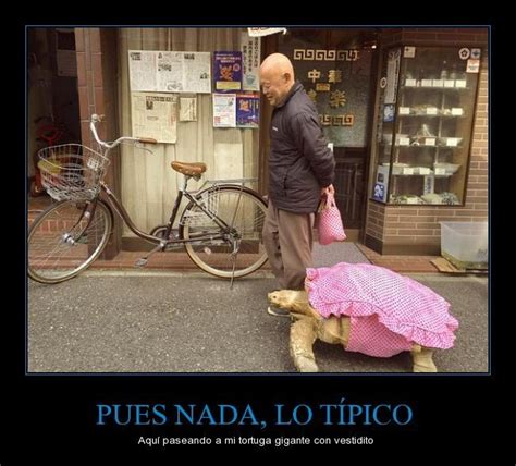 Paseando A La Tortuga Meme Subido Por Soydolphin Memedroid