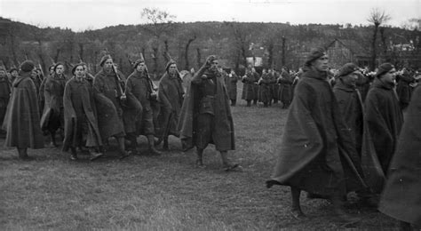 Gen Zygmunt Bohusz Szyszko Bohater Bitwy O Narwik Historia