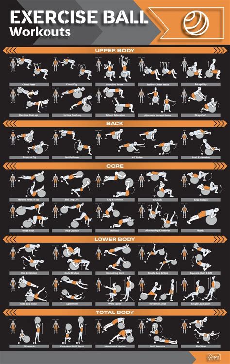 12 PACK Laminated Large Workout Poster Set Perfect Workout Posters