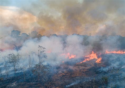 Número de queimadas explode na Amazônia e fumaça se espalha pelo Brasil
