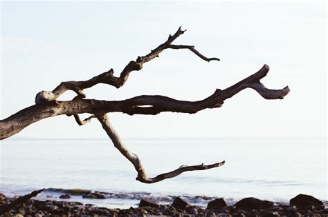 Git Switch Branch How To Change The Branch In Git