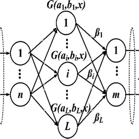 the basic network structure of single hidden layer feedforward networks download scientific