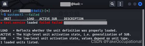 linux 服务 开机自启动服务实现 systemctl and crontab systemctl设置自启指定用户 csdn博客