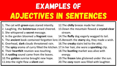 Examples Of Adjectives In Sentences Engdic
