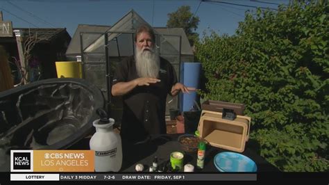 In The Garden Keeping Pesky Insects Away YouTube