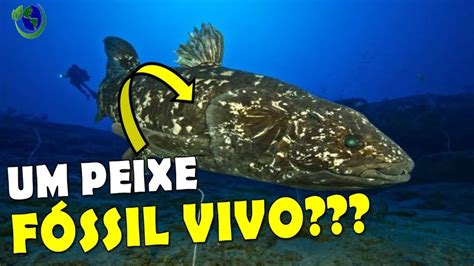 Celacanto A Descoberta De Um F Ssil Vivo Youtube