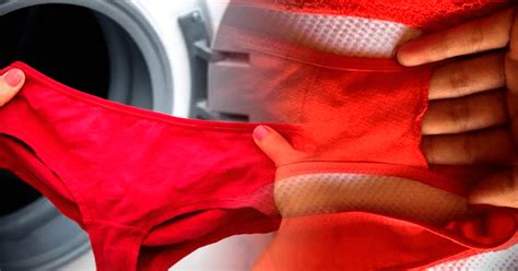 Para Que Sirve Y Por Que Tiene Bolsillo La Ropa Interior Femenina 3
