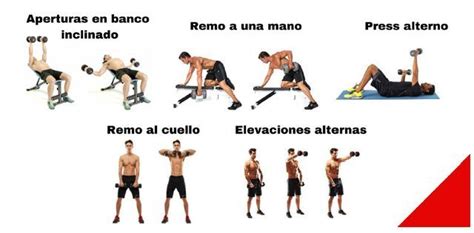 El Mejor Entrenamientos Con Mancuernas En Casa O En El Gimnasio 5 Días Y 5 Rutinas Diferentes