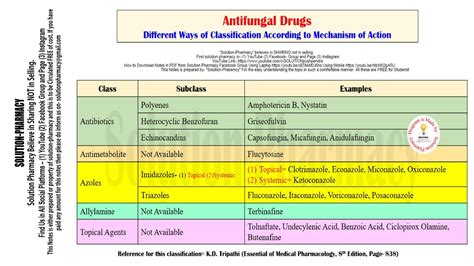 Microbiology 81 Classification Of Antifungal Drugs Mechanism Of