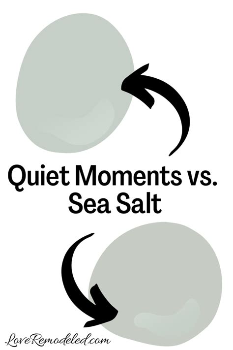 Quiet Moments By Benjamin Moore Love Remodeled