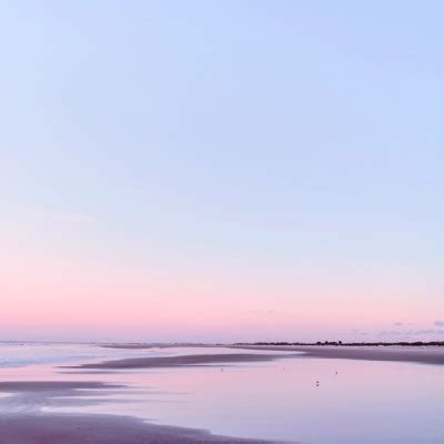 Savanna Wind Tumblr Tumbex