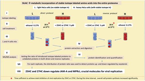 Modulation Of Cell Proteome By Hydroxycholesterol And