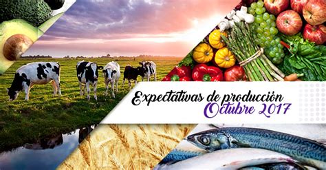 Expectativas de producción agropecuaria y pesquera diferentes aspectos